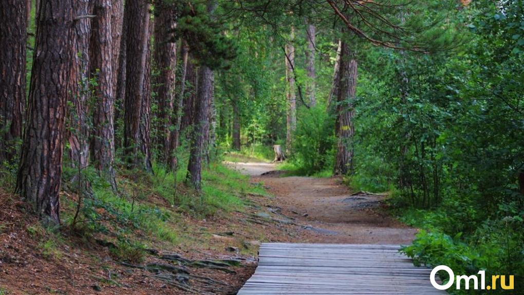 139 протоколов: в Омской области за полгода незаконно убили 30 косуль и семь бобров - www.om1.ru