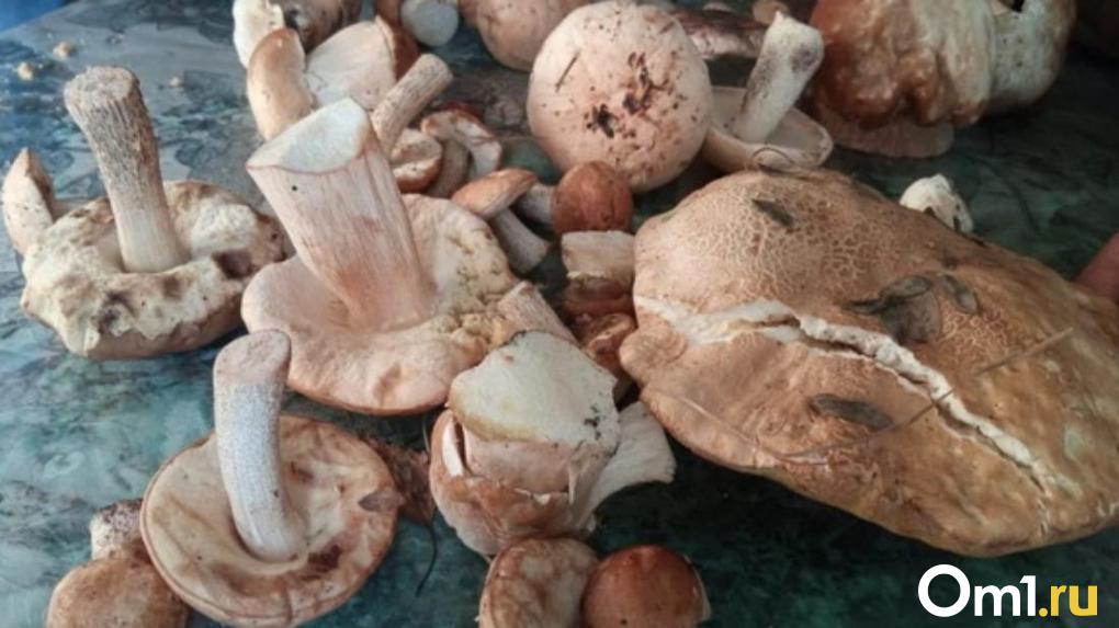 Что такое «тихая охота» - nsk.om1.ru