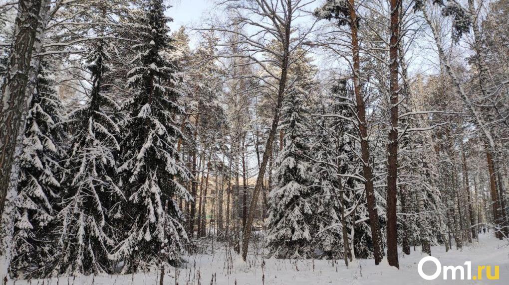 Погода на 16 и 17 декабря в Новосибирской области - nsk.om1.ru