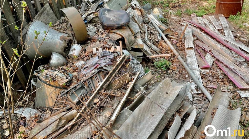 Искусственный интеллект помогает Новосибирску контролировать нелегальные свалки - nsk.om1.ru